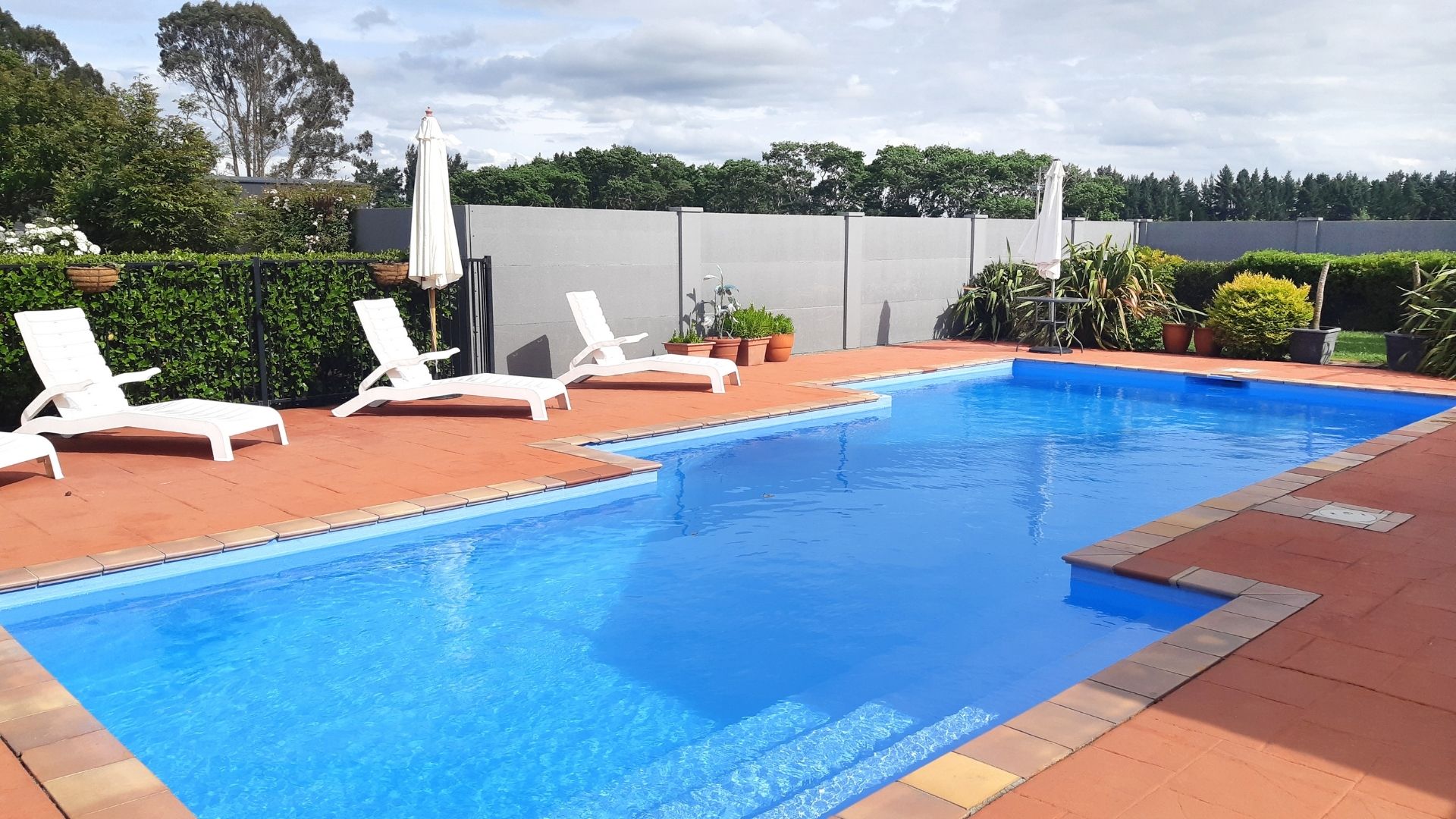 Gallery | Jet Park Hotel Rotorua